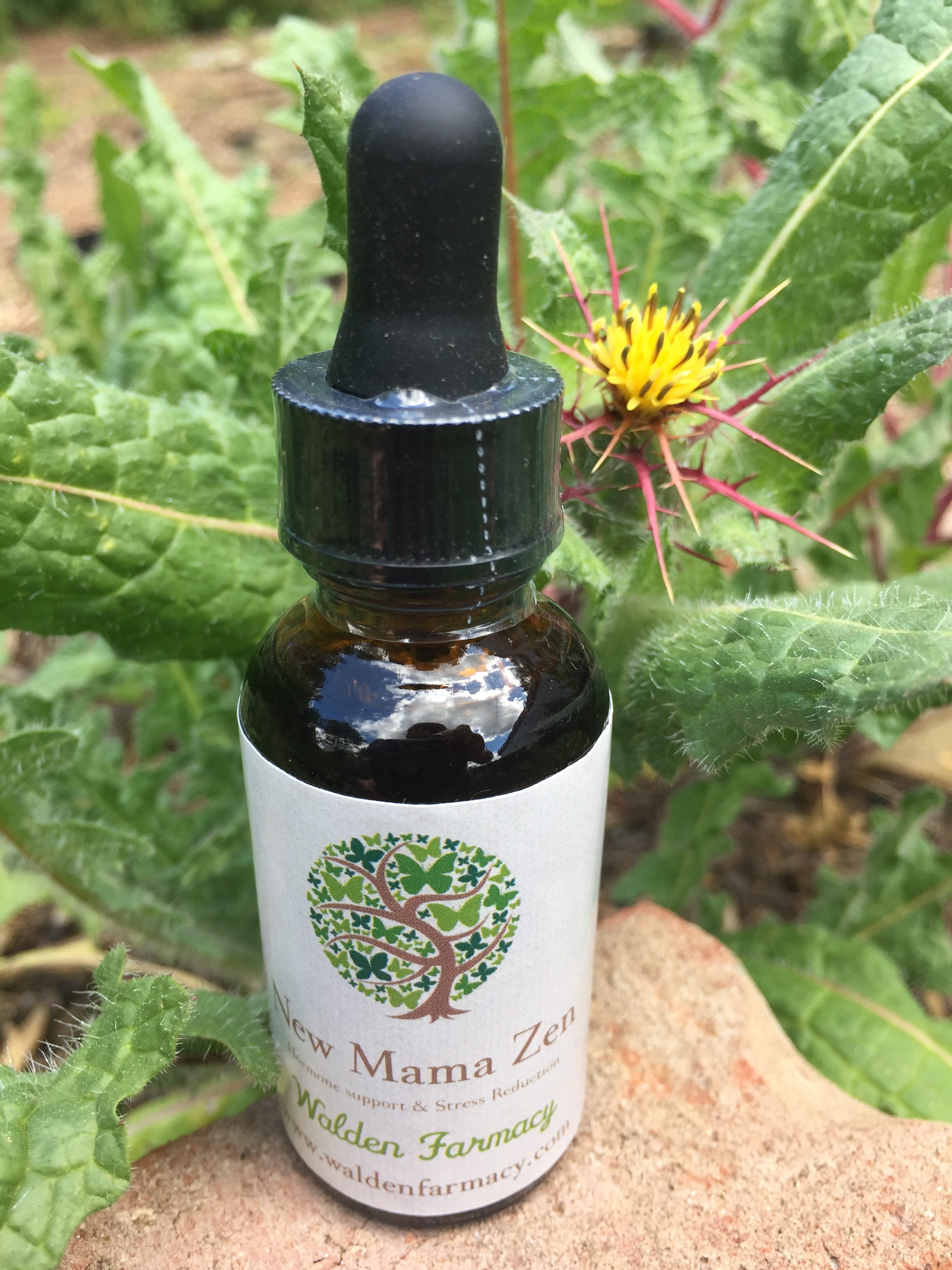 New Mama Zen – Walden Farmacy