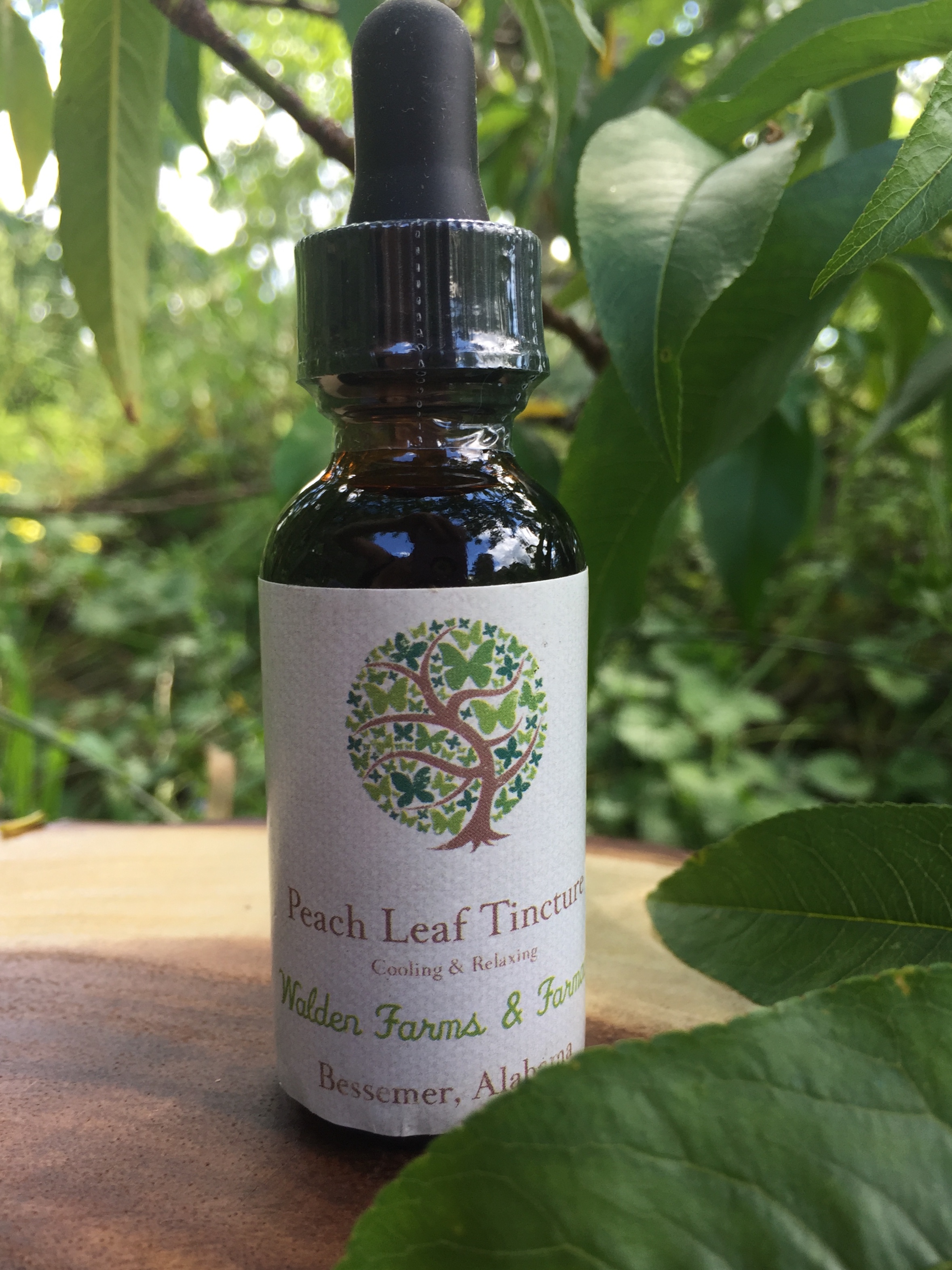 Peach Leaf Tincture – Walden Farmacy