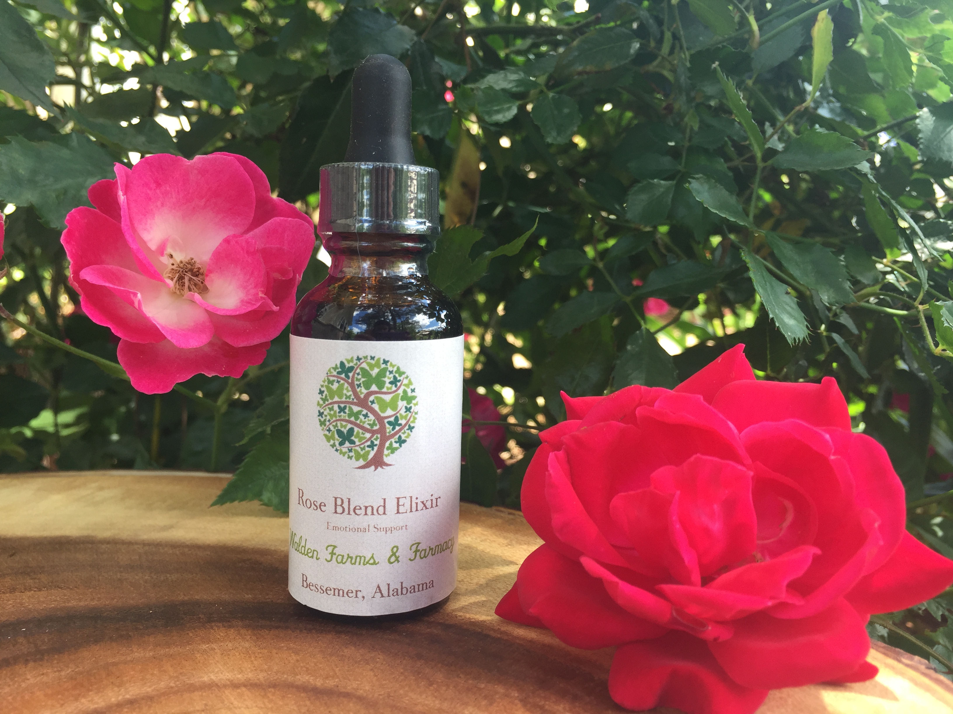 Rose Blend Elixir – Walden Farmacy