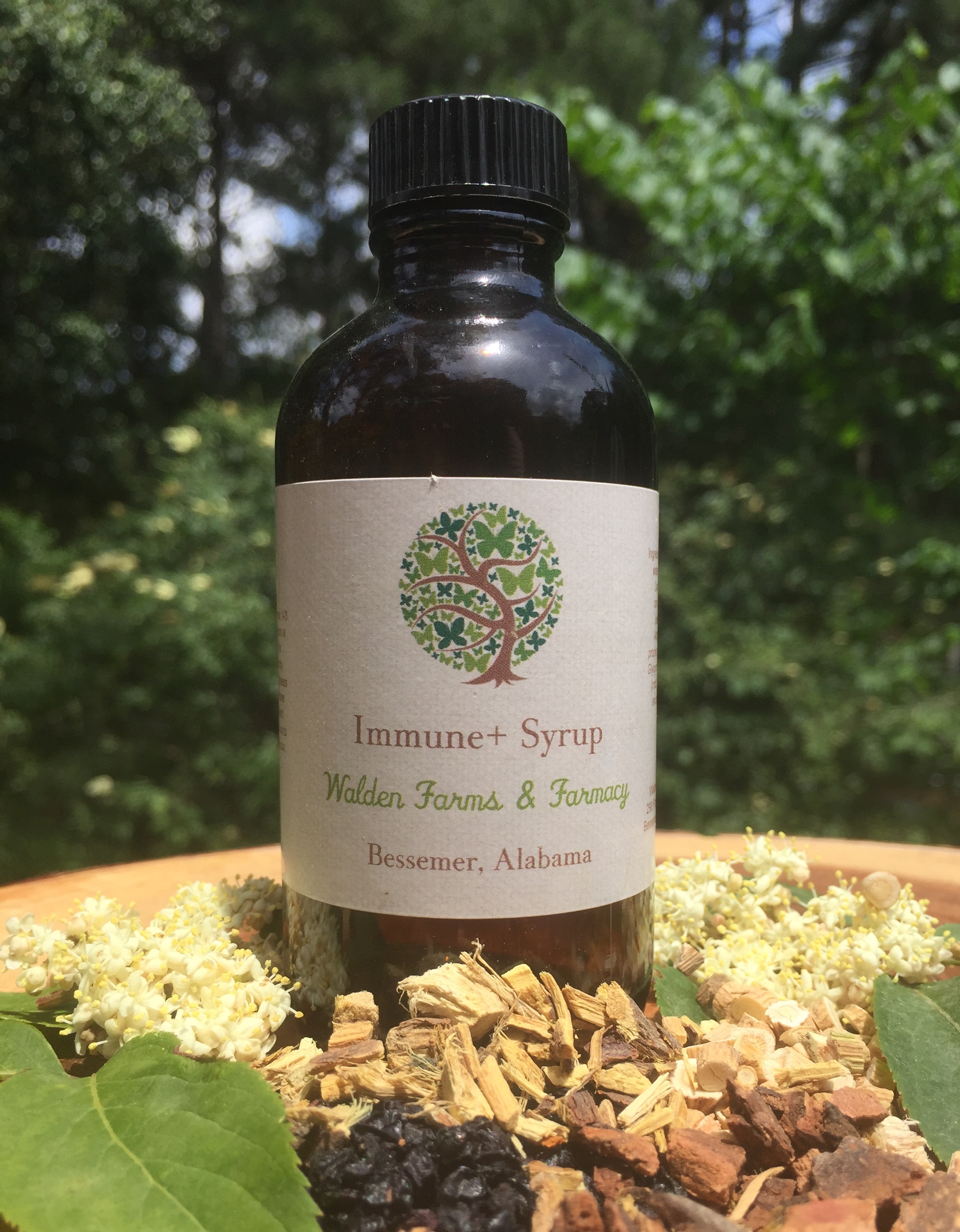 Immune+ Syrup – Walden Farmacy
